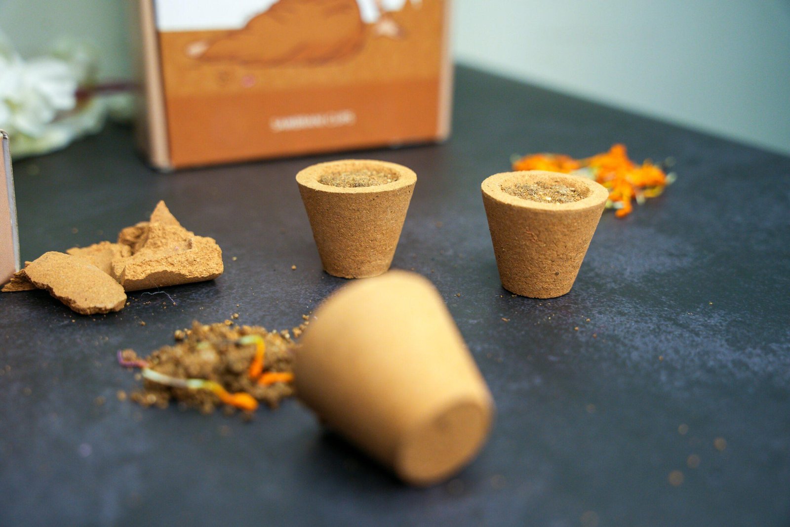 Floranile Organic Havan Cups | Sambrani Cups – Floranile